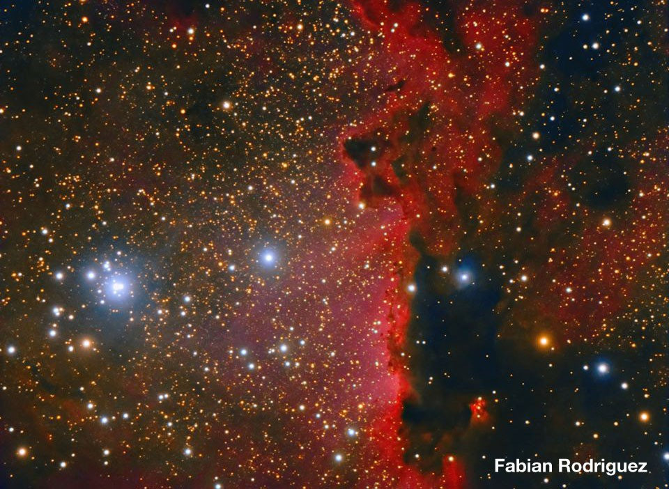 Meade ACF f/8 10-inch optical tube assembly (OTA) @ Meade Instruments UK